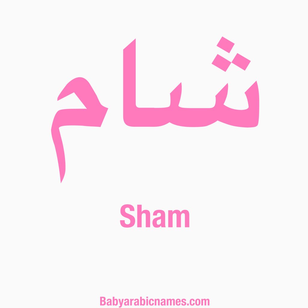 Sham Arabic Baby Girl Name Baby Arabic Names
